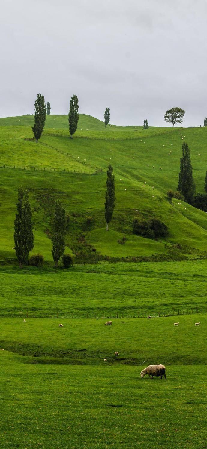 4K、高清壁纸分享 - 知乎