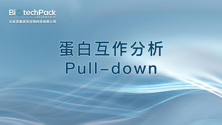 蛋白互作分析Pull-down - 知乎