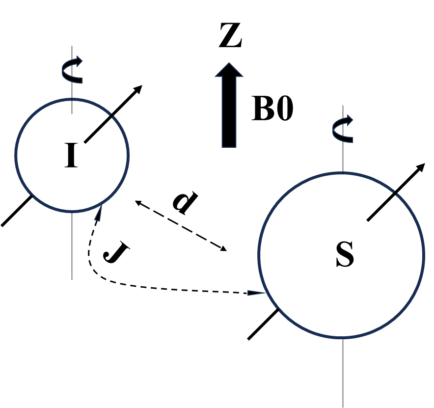 如何更好的理解核自旋三重态和单态 - 知乎