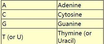 common file formats in bioinformatics - 知乎