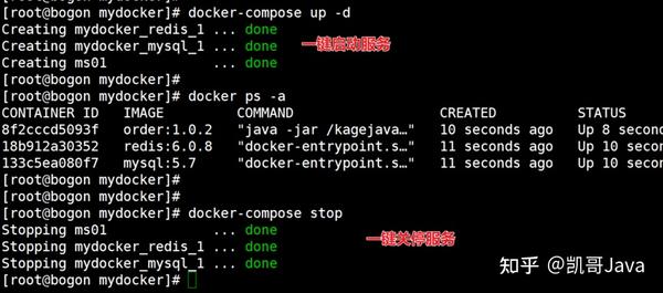 Docker高级篇 Docker Compose容器编排介绍及实战 知乎