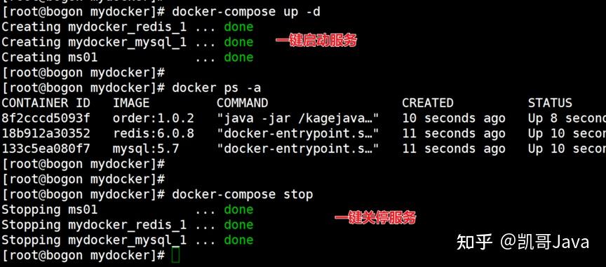 Docker高级篇 Docker Compose容器编排介绍及实战 知乎