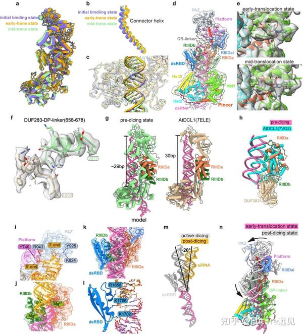 1天段镶锋、麻锦彪、何胜洋等团队发表6篇Nature - 知乎