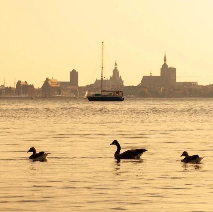 MATLAB编程与应用 | 符号计算器和泰勒级数计算器 - 知乎