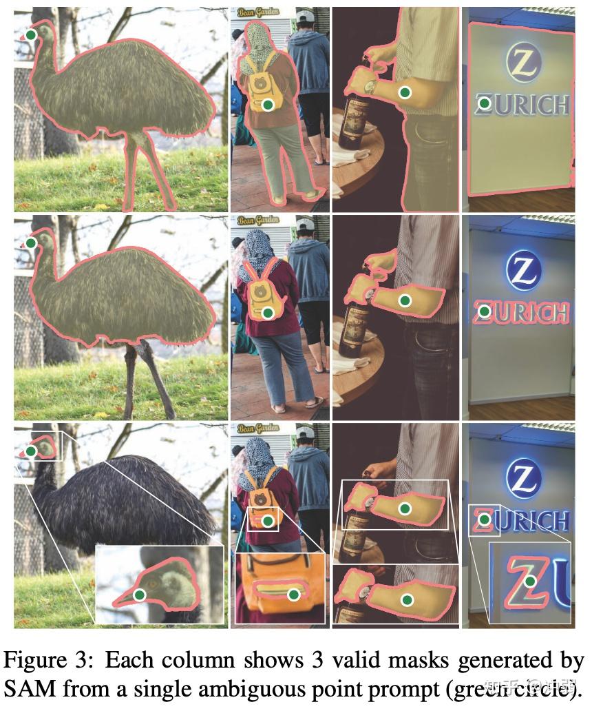 一篇文章搞懂Segment Anything(SAM) - 知乎