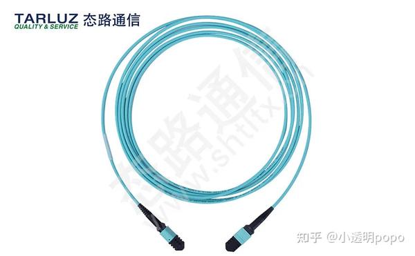 态路小课堂丨MPO/MTP-16光纤跳线 - 知乎