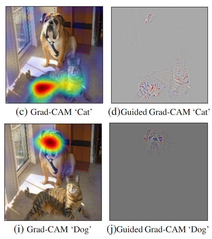 论文笔记：Grad-CAM - 知乎