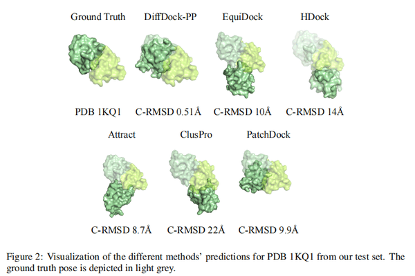 DIFFDOCK-PP：基于扩散模型的刚性蛋白-蛋白对接 - 知乎