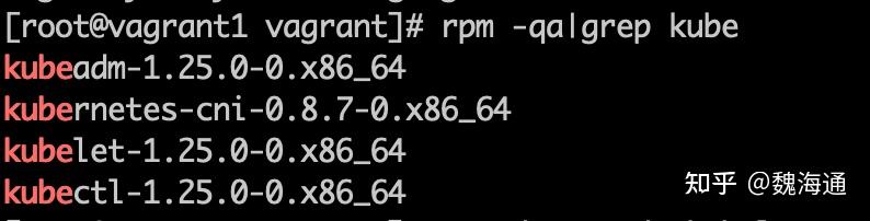 Command Failed Err Failed To Parse Kubelet Flag Unknown Flag Network Plugin 知乎