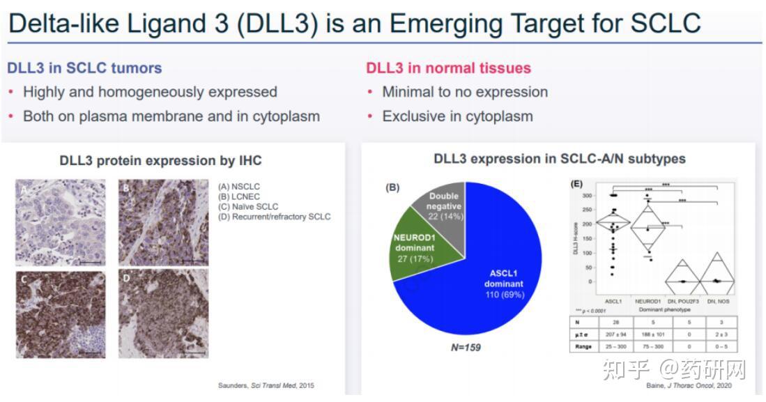 传奇生物开发DLL3的CAR-T 疗法靶点项目披露 - 知乎