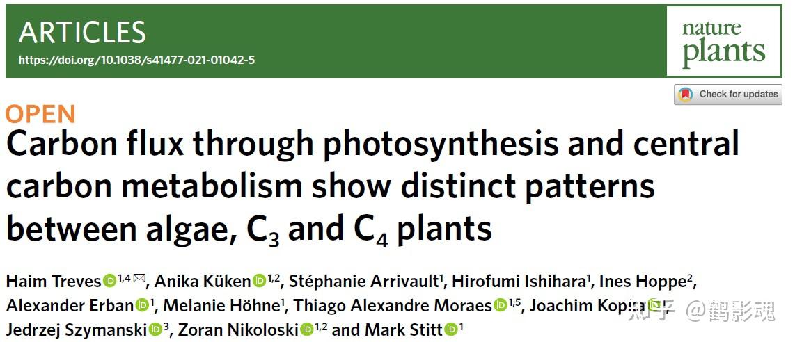 NP│德国科学家研究揭示绿藻，C3和 C4 植物在光合作用和中心碳代谢方面具有不同的碳通量模式 - 知乎