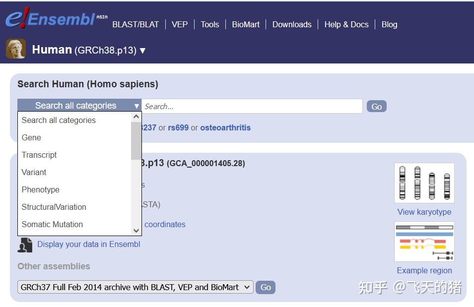 Ensembl数据库 - 知乎