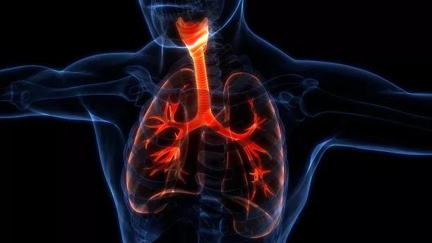 国际期刊推荐:CANADIAN RESPIRATORY JOURNAL - 知乎