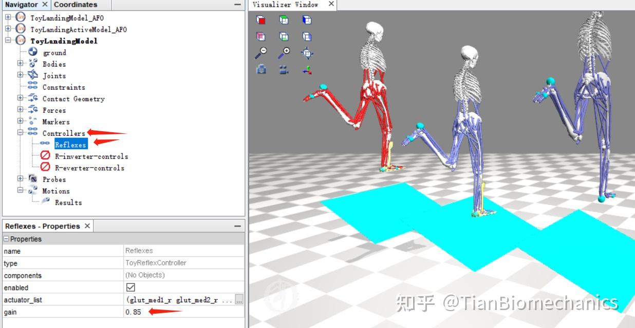 Opensim 进阶教程-预防踝关节损伤的仿真设计 - 知乎