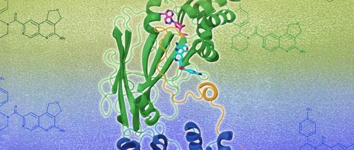 【Cancer Discovery】安进公布第二代 PRMT5 抑制剂(AMG193) 分子发现与药理数据 - 知乎