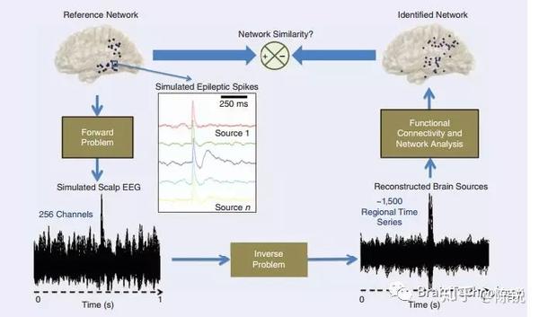 EEG源分析简介 - 知乎