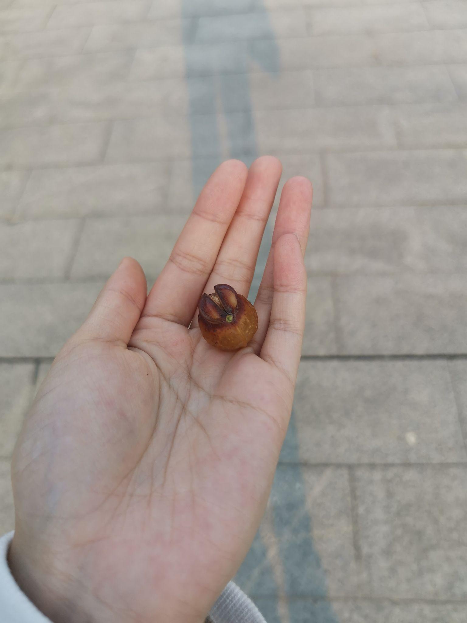 什么是真正的自由? 知乎