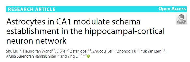 BMC Biology︱李婴团队揭示星形胶质细胞通过海马体CA1-前扣带回皮层环路调控大鼠图式记忆的建立 - 知乎