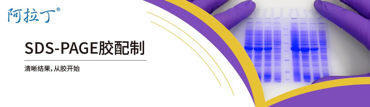 SDS-PAGE胶配制及注意事项 - 知乎