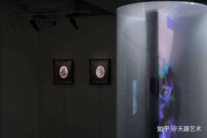 天趣当代艺术· Au-delà 跨越精彩回顾丨Nick Teeple作品 - 知乎