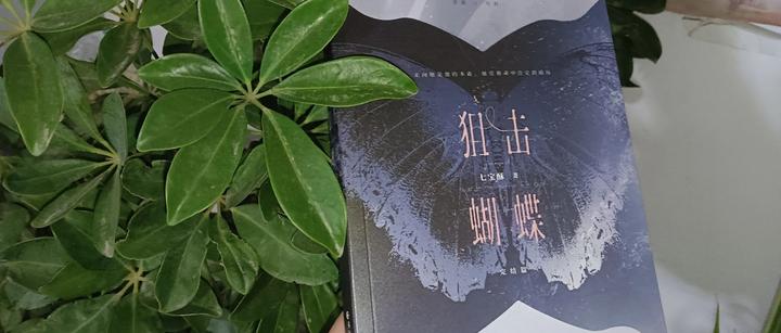 《狙击蝴蝶2》｜29岁姐姐和19岁学霸弟弟间的绯红情色 - 知乎