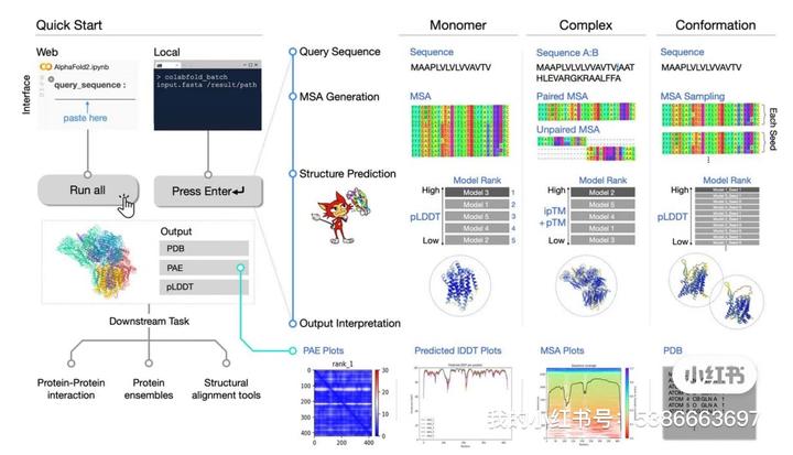 诺奖后，Nature最新ColabFold保姆级操作手册--动态多构象AF2预测 - 知乎