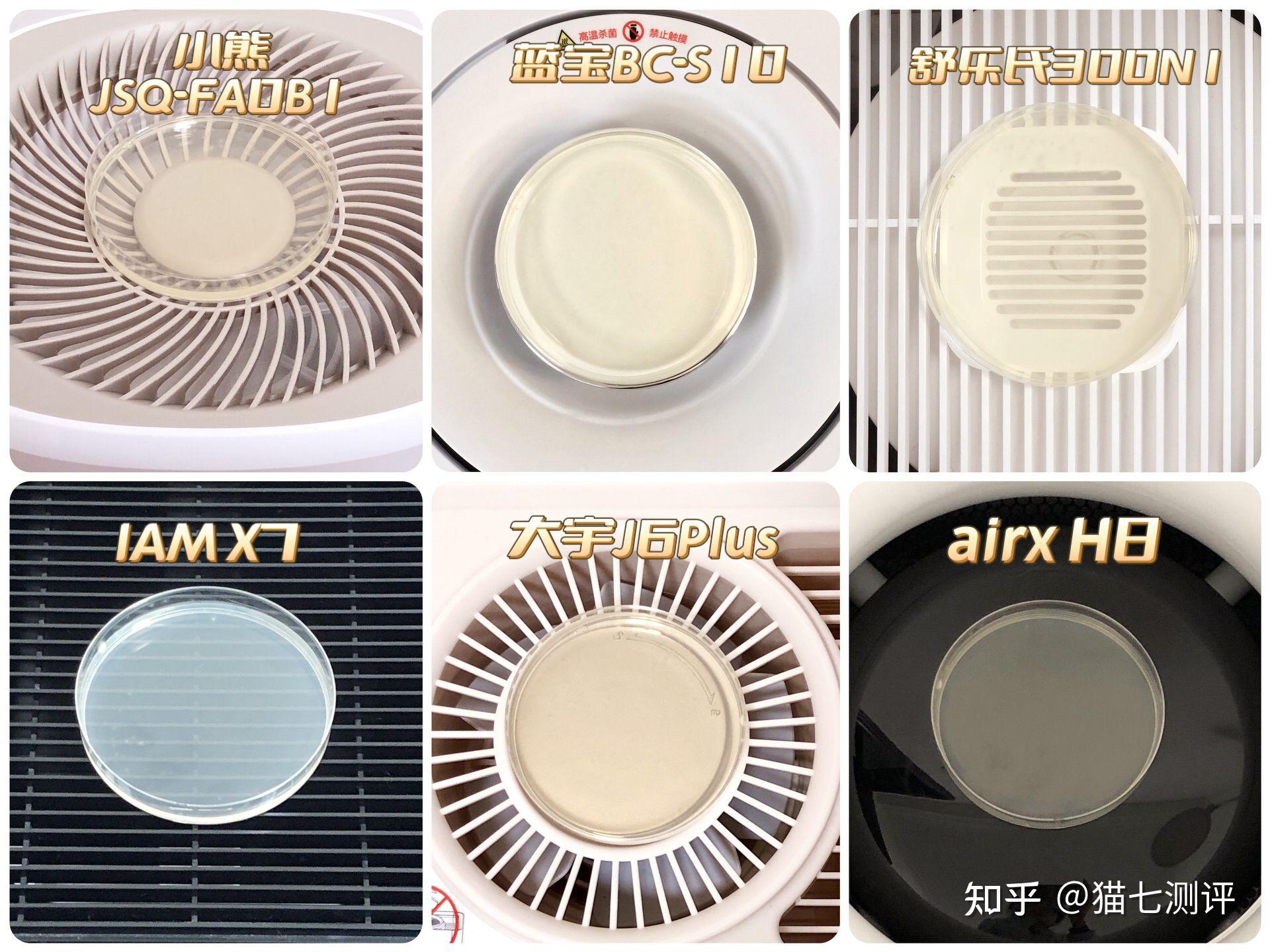 2024年6款加湿器对比实测！好用加湿器测评推荐：加湿器哪个牌子好？小熊、蓝宝、舒乐氏、IAM、airx、大宇六款热门加湿器哪款更值得入手？