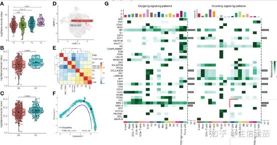 卷王必看！多组学数据王炸组合！单细胞+bulk RNA+空间转录组+scATAC，外加6种细胞死亡类型，强强联手搞定8分+纯生信 - 知乎
