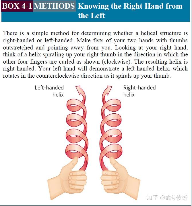 4.2 Protein Secondary Structure - 知乎