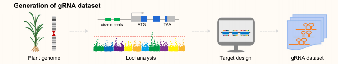 CRISPR screen——极具潜力的高通量筛选技术 - 知乎