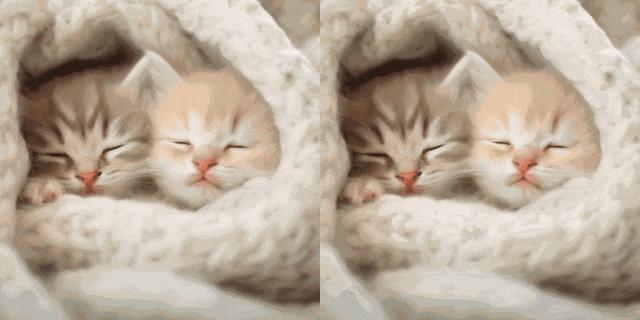 即插即用，完美兼容：SD社区的图生视频插件I2V-Adapter来了 - 知乎