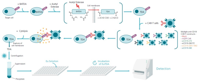 体外药效评价方法有哪些？ - 知乎