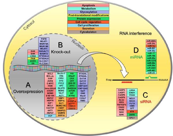 CHO细胞的江湖 - 知乎