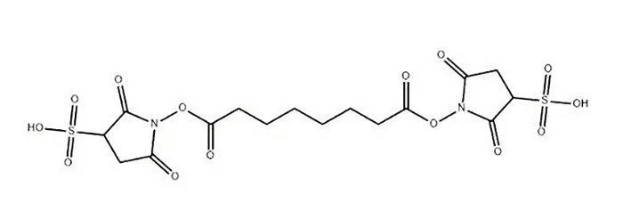 82436-77-9，Bis(sulfosuccinimidyl)suberate (BS3)是一种活性交联剂，常用于蛋白质 - 知乎