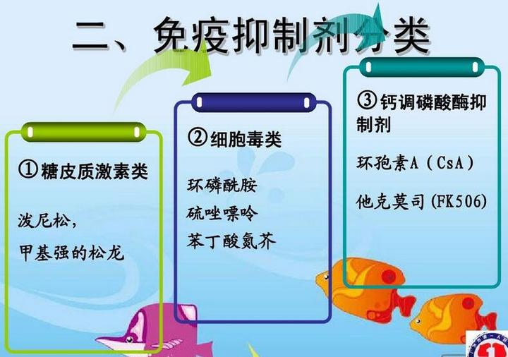 盘点肾病的免疫抑制剂! - 知乎