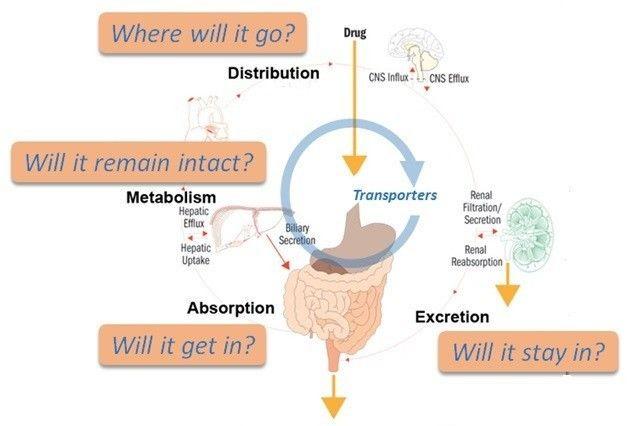基于蛋白结构的ADMET预测 - 知乎