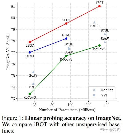 ICLR2022 | IBOT：使用online tokenier进行mask预测的自监督框架 - 知乎