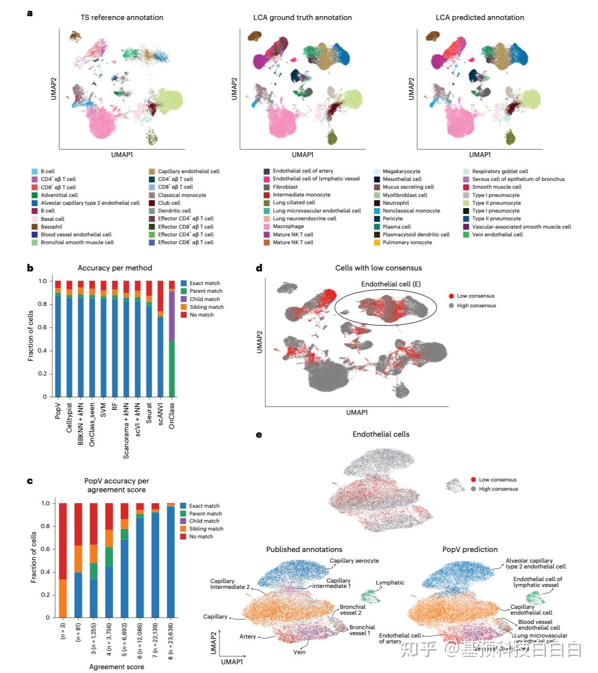 使用popV对单细胞数据中的细胞类型进行注释 - 知乎