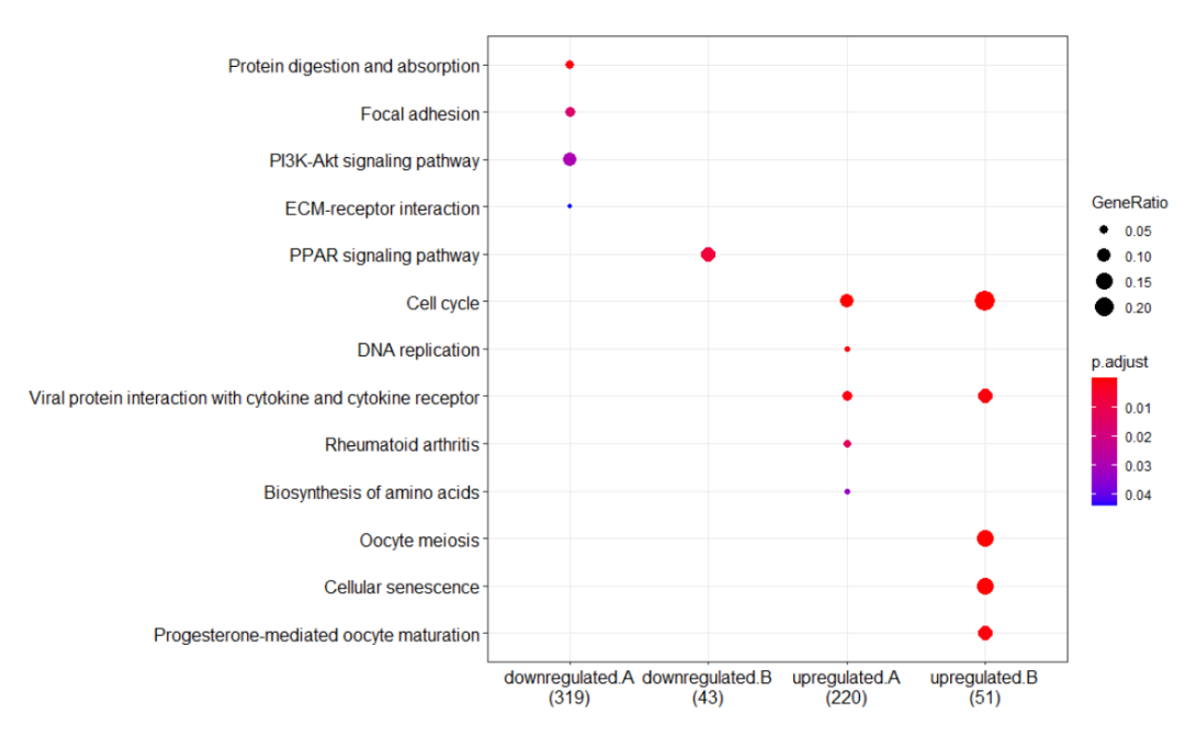 R 实战 | 使用clusterProfiler进行多组基因富集分析 - 知乎