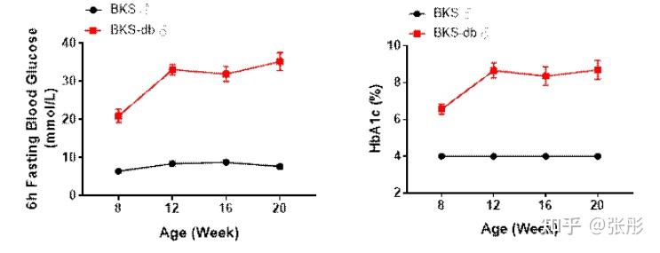 DB/DB MICE——自发性Ⅱ型糖尿病小鼠 - 知乎