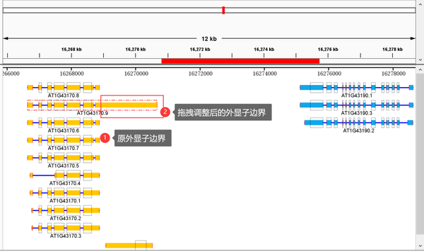 IGV-GSAman |「功能基因组时代」的高效率科研工具 - 知乎