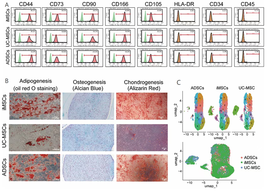 从源头革新到迈向临床：iPSC-iMSC的3D细胞规模化破局之路 - 知乎