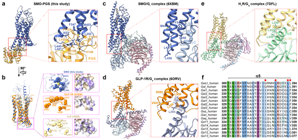 水木视界iss. 25 | 基于冷冻电镜的GPCR研究：融合蛋白策略 - 知乎