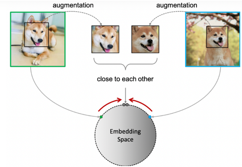 240219 论文速读 - 知乎