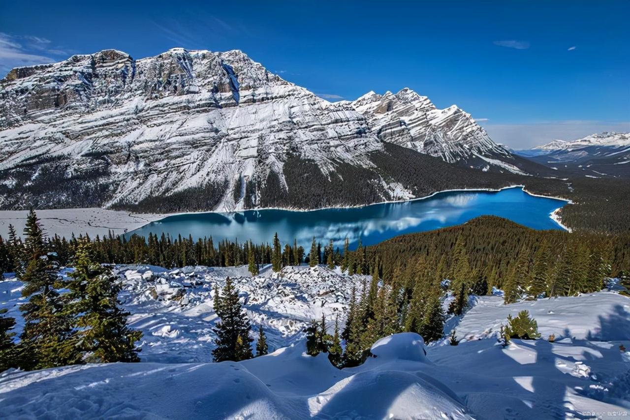 说说加拿大当地华人和移民那些事儿系列一 - 知乎