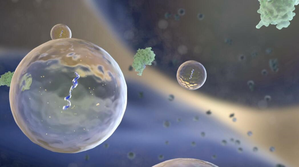 Nat Met | CellChatDB高空间分辨率研究细胞间通讯的空间转录组学 - 知乎