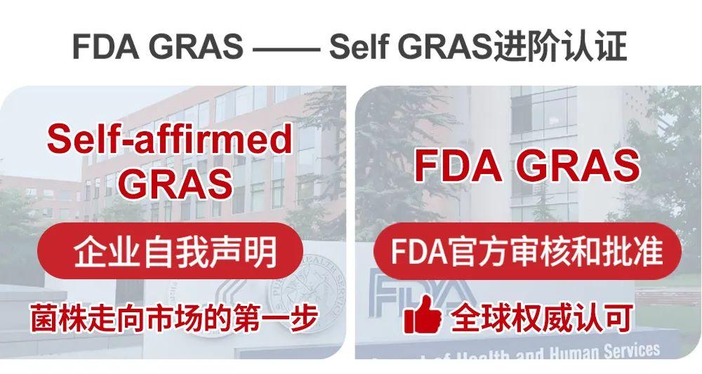 微·报道 | 大陆首株双GRAS认证 ！ BLa80实现self-affirmed GRAS+FDA GRAS双认可 - 知乎