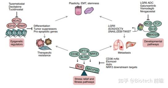 Nature Cancer 深度总结 | 癌症转移机制与治疗策略 - 知乎
