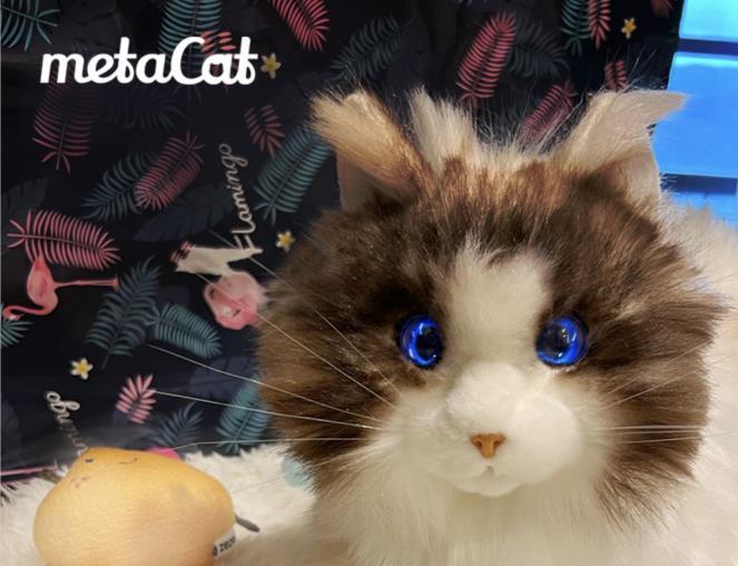 喵~ 大象机器人再添新宠：陪伴宠物米塔﻿猫﻿metaCat超萌上线，硬科技也可以柔软治愈 - 知乎