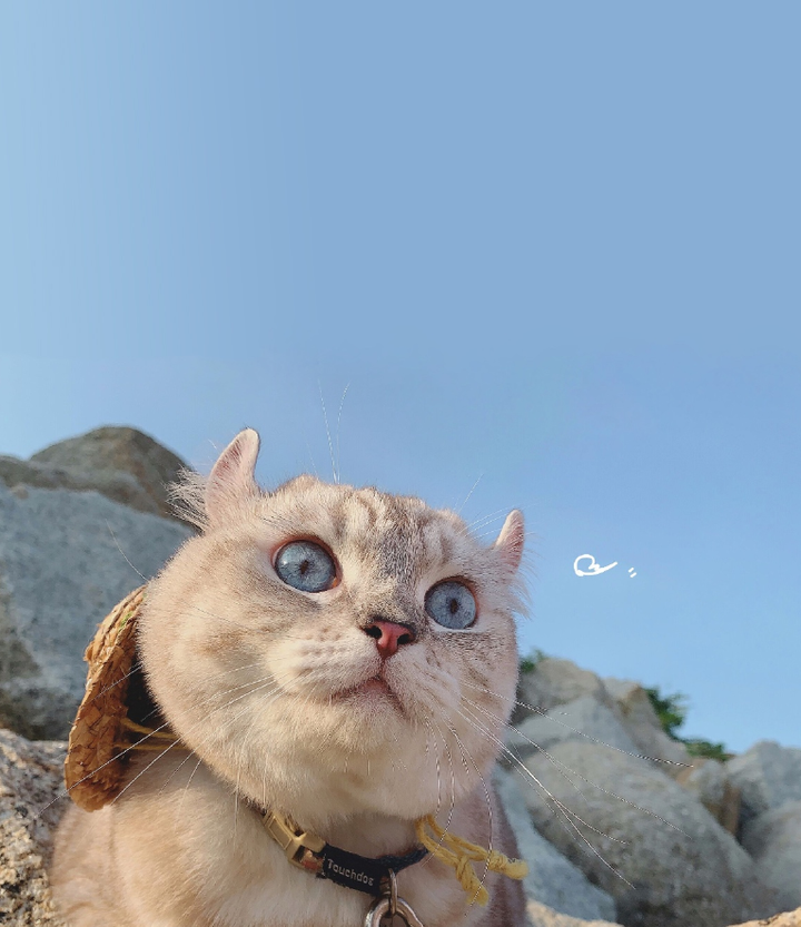 10分钟搞清楚Muduo网络库和Reactor模式 - 知乎